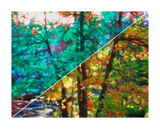 Artists Proofs Artists Proofs